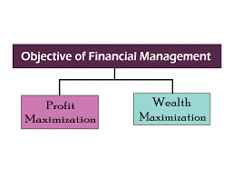 1.2. Objectives of Financial Management – AuditHub