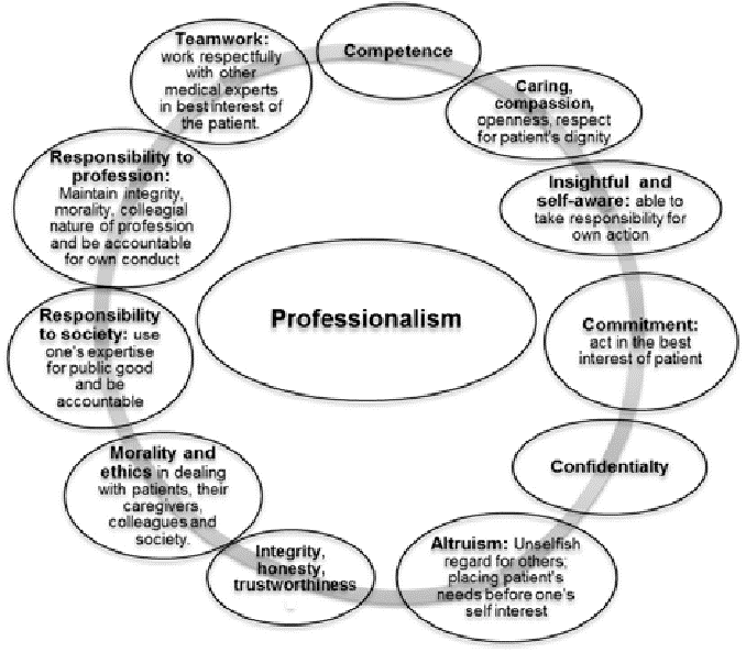 1.3 Characteristics of Professionalism – AuditHub